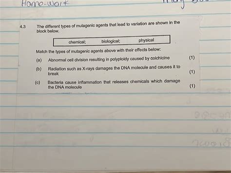 The Different Types Of Mutagenic Agents That Studyx