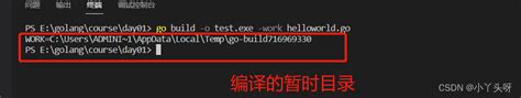 Go 学习01go Build 指定名称 Csdn博客