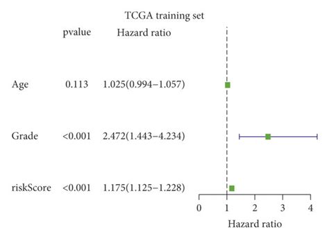 Independent Validation Of M5c Related Lncrnas Based Risk Model Along