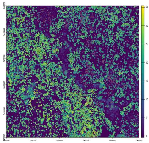 Module Mapping Trees From Aerial LiDAR Data The Jones Center At Ichauway Research Labs