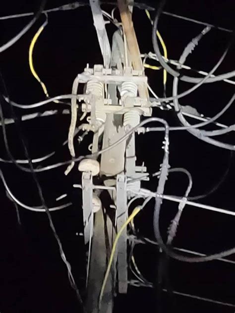 大蛇惹的禍 臭青母遭電焦造成嘉義大學一帶大停電 社會 中時