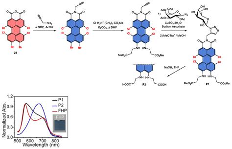 Ijms Free Full Text Recent Advances In Applications Of Fluorescent