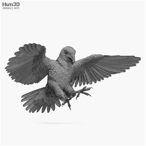 Red Tailed Hawk Attacking 3d 모델 다운로드 새 On