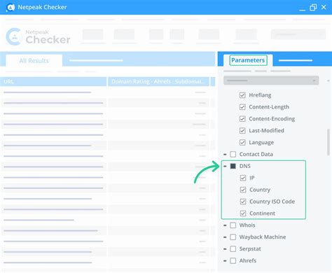 Netpeak DNS Tool Improving Performance With DNS Checker Netpeak Software