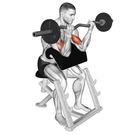 How To Master The Bayesian Curl For Optimal Results 2025