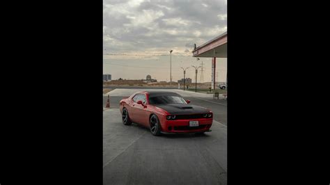 Python Boy Live Stream 🎨 Live Python Turtle Design Creative Coding With Python 🐍 Youtube