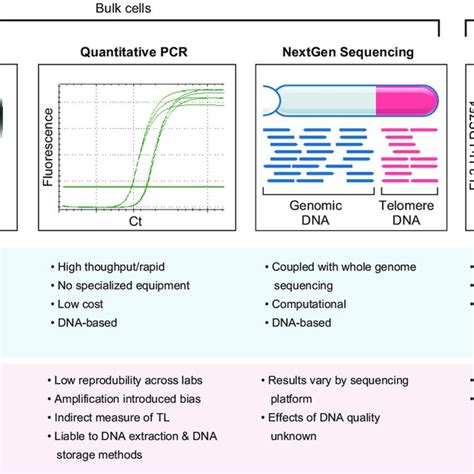 Advantages And Limitations Of 4 Commonly Used Methods To Estimate Download Scientific Diagram