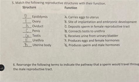 Solved Match The Following Reproductive Structures Wi