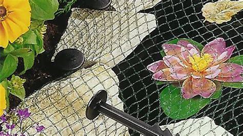 B Q Pond Netting At Ruby Padilla Blog
