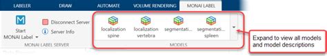 Get Started With Monai Label In Medical Image Labeler Matlab And Simulink