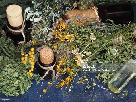 마른 약초 유리병에 향기로운 오일 어두운 배경 상단 보기 클로즈업에 병에 팅크를 마십니다 의학 동종 요법 및 미용에 사용하기위한 꽃이있는 다양한 약용 식물 건강관리와 의술에