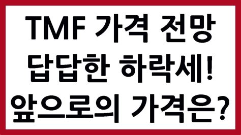 TMF TLT W ETF 전망 TQQQ EDV 미국 채권 장기 국채 투자 주식 선물 가격 주가 배당 분배금 시장 금리 수익률