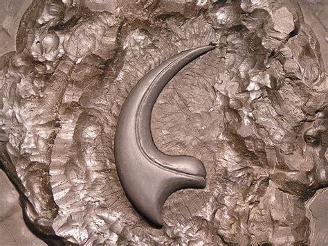 Velociraptor Claw Fossil Deadly Raptor Dinosaur Claw Velociraptor Fossil Replica Etsy