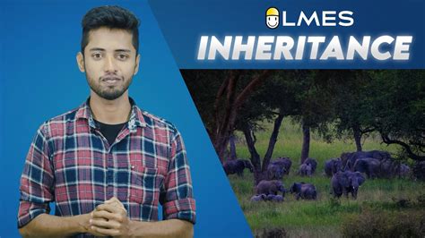 Dna Inheritance Tamil Lmes Youtube