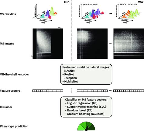 Sample Representations In The Workflow Mass Spectra Of Ms1 And Ms2 Download Scientific Diagram