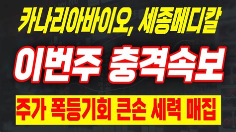 카나리아바이오 세종메디칼 이번주 충격속보 난소암 임상 재신청 사실인가 임상3 중단으로 주가 폭락 긴급대응 이 나용