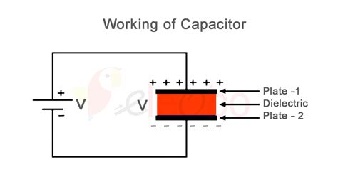 Ac Capacitor Working Principle At Pamela Harvey Blog