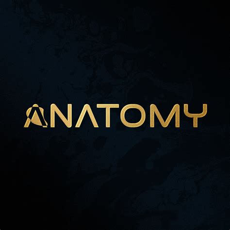 Mesh Anatomy
