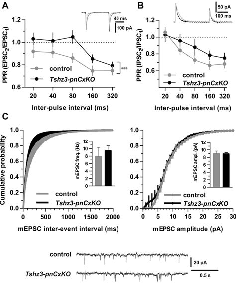 cortical synaptic transmission a the paired pulse ratio ppr of