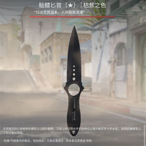 完美c 骷髅匕首 血腥运动ak47 二号玩家m4a1 反冲精英m4a4 金粉肆蛇awp Ez4此csgo账号已出租56次帐号出租 租号玩