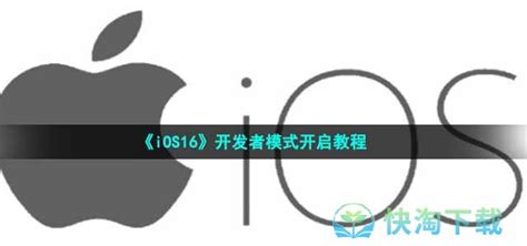 ios16怎么开启开发者模式 开发者模式开启教程 快淘下载