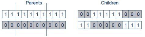two point crossover operator download scientific diagram