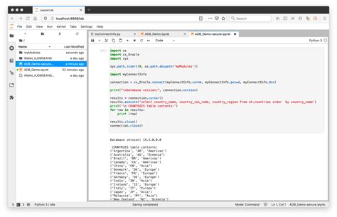 How To Connect Jupyterlab And Jupyter Notebooks Oracle Autonomous Database Sean Stacey For