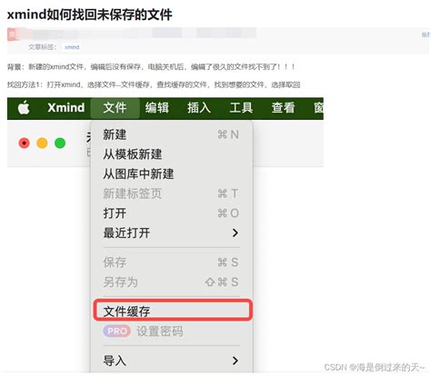 找回xmind文件办法一切意外均可找回误删重启关机等xmind没保存怎么找回 Csdn博客