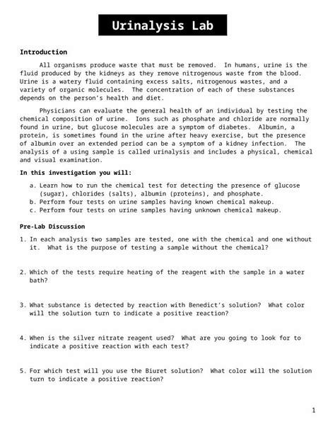 Doc Urinalysis Lab Dokumentips