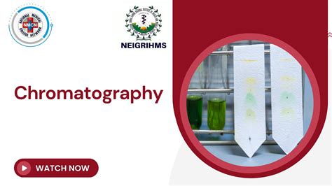 Youtube Chromatography Ks3 At Edwin Whitlow Blog
