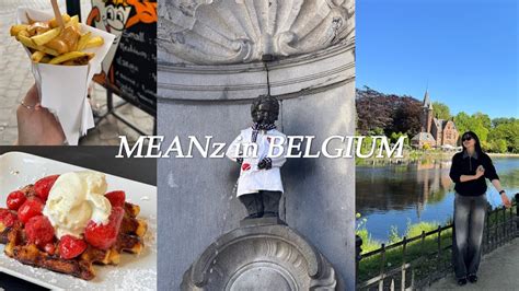 Vlog🇧🇪 혼자 벨기에 여행 Feat한국인은 잘 모르는 벨기에 또간집 추천 유로스타브뤼셀브뤼헤겐트앤트워프