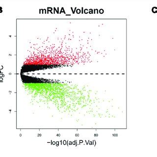 Immune Related Differentially Expressed Long Non Coding RNAs
