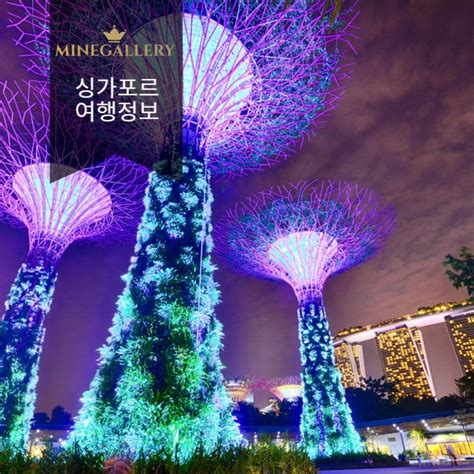 싱가포르 여행 준비 사항 및 패키지여행 네이버 블로그