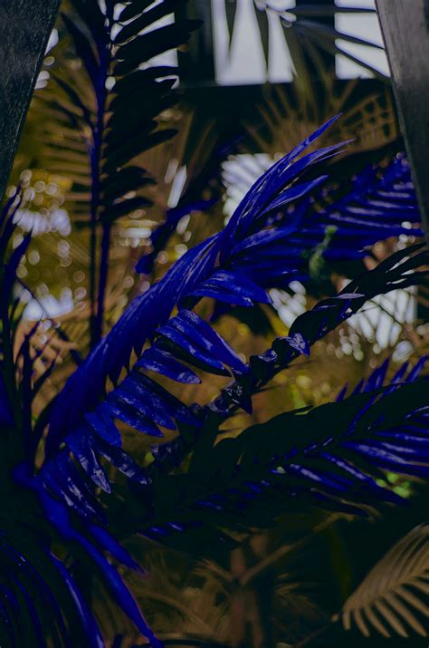 Module One Design Assignment On Behance