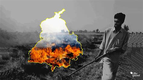 Air Pollution And Crop Burning How Punjab Farmers Can Be Convinced To