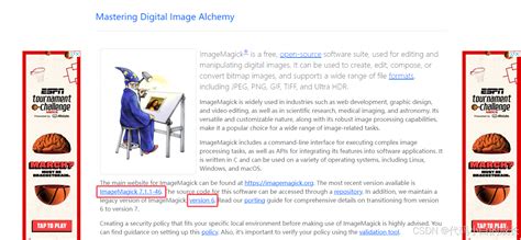Windows：安装imagemagick进行cityscapes的图像压缩imagemagick Windows Csdn博客