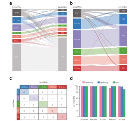 The Complexity Of Diffuse Large B Cell Lymphoma A Revolutionary