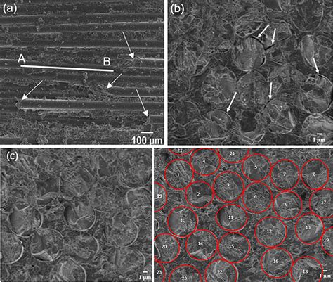 Analysis Of Carbon Fiber Composites At Cheryl Lee Blog