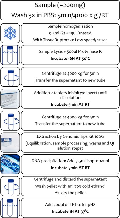 Flowchart Representation Of Step‐by‐step Optimized Protocol Download