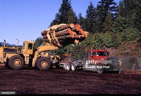 K Loader Photos And Premium High Res Pictures Getty Images