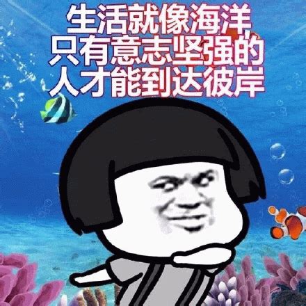 意志表情包图片 求表情网 斗图从此不求人