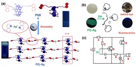 Sensors Free Full Text Recent Developments Of Fluorescence Sensors Constructed From Pillar N