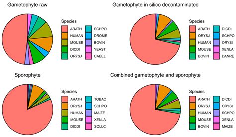 Comparison Between The Gametophyte And The Sporophyte Transcriptomes Of