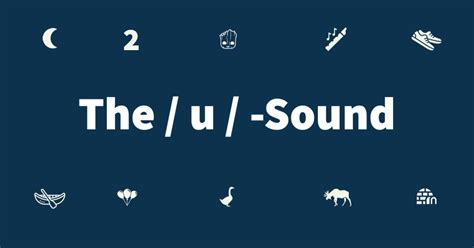 The Oo Sound — Lucid Accent Consulting The Oo Sound — Lucid Accent Consulting