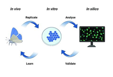 How Bioinformatics Contributes To Biology Figure Made With Biorender Download Scientific