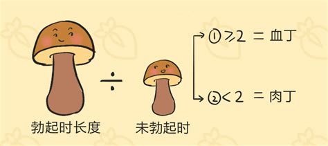 丁丁有多少种？你可能一无所知 知乎