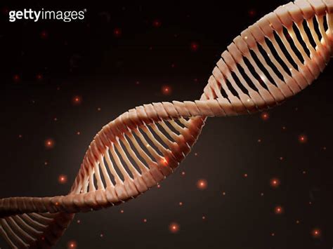 Realistic Abstract Dna Structure Concept Molecule Helix Spiral Science Medical Genetic Biology