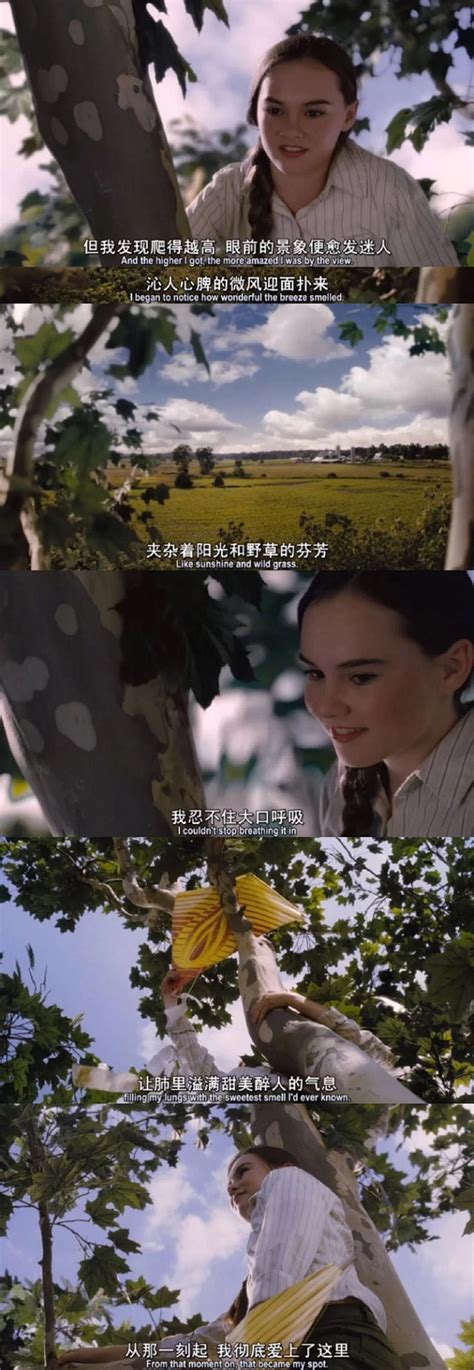 《怦然心动》 斯人若彩虹 遇上方知有