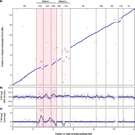Identification Of Two Evolutionary Strata In The Sex Determining Region