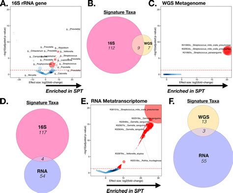 Taxonomic Annotation Of All Three Sequencing Data Types Deseq2